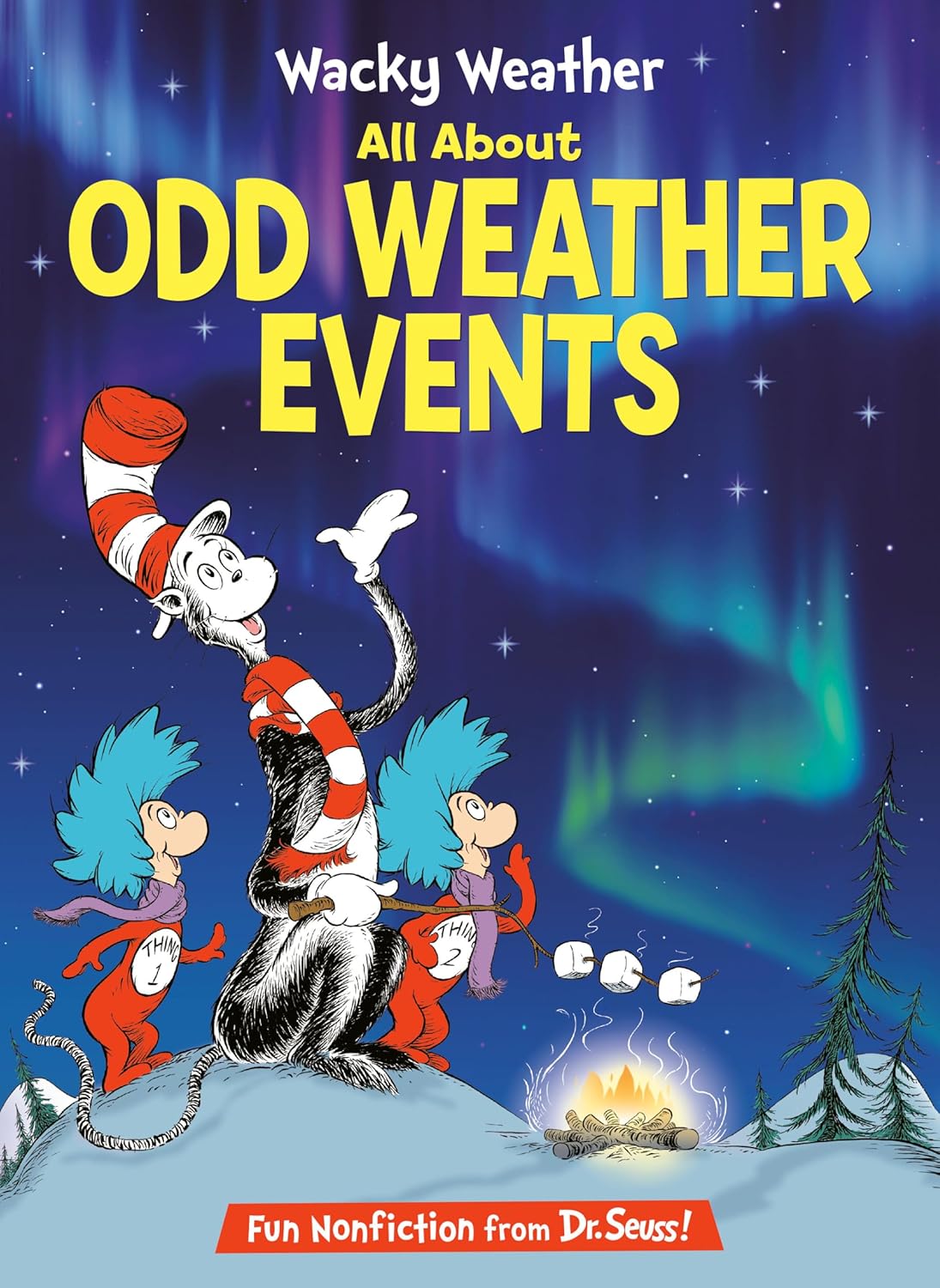 Wacky Weather: All About Odd Weather Events – Houston Museum of Natural ...