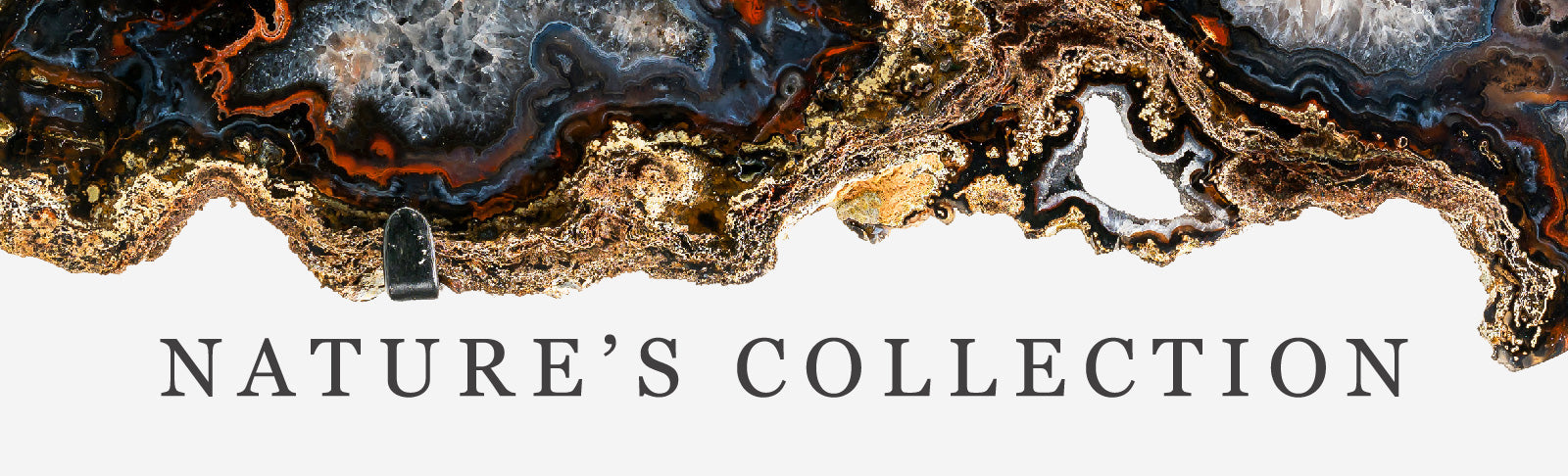 Nature's Collection – Page 2 – Houston Museum of Natural Science