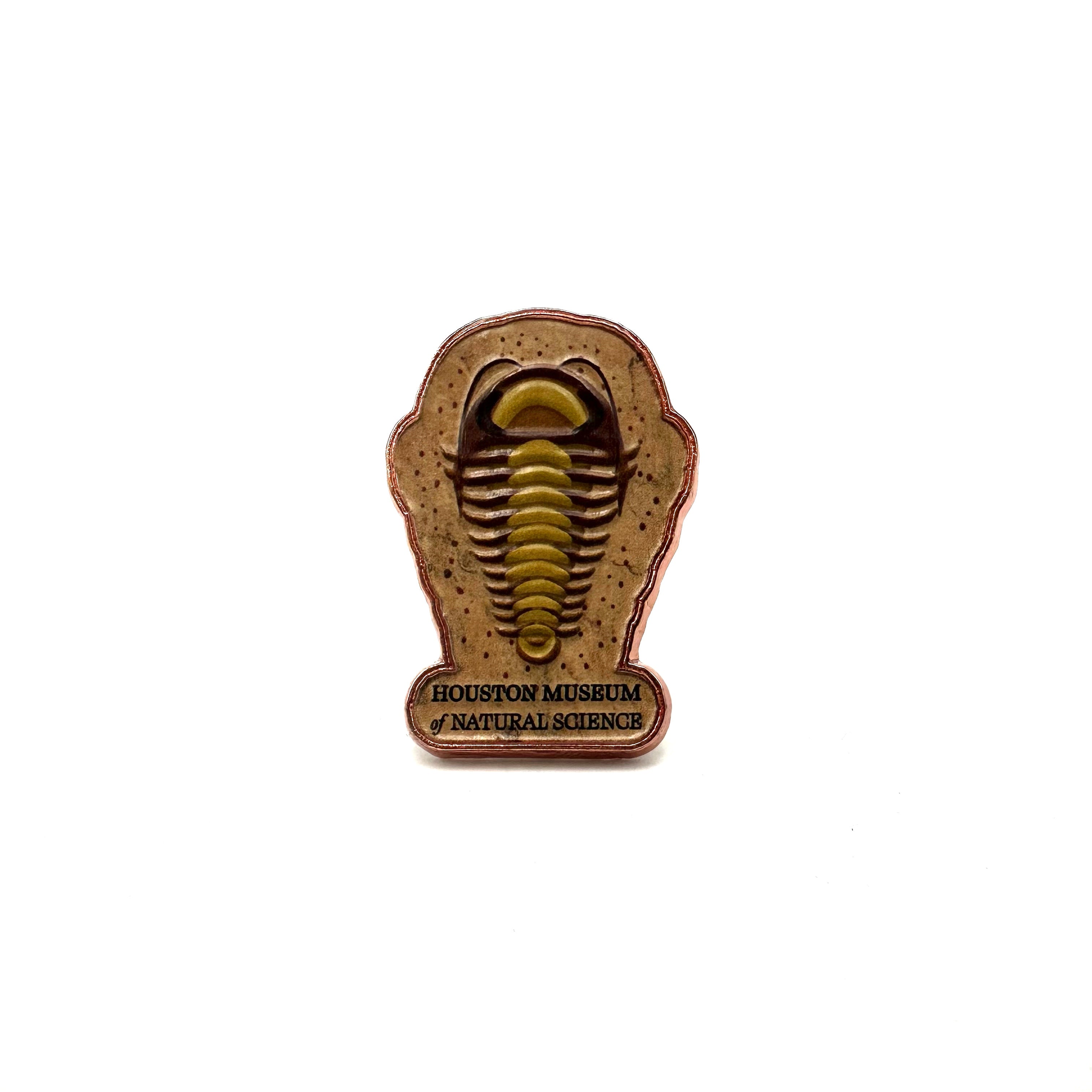 HMNS Trilobite Pin – Houston Museum of Natural Science