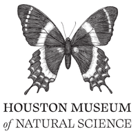 HMNS Museum Store – Houston Museum of Natural Science