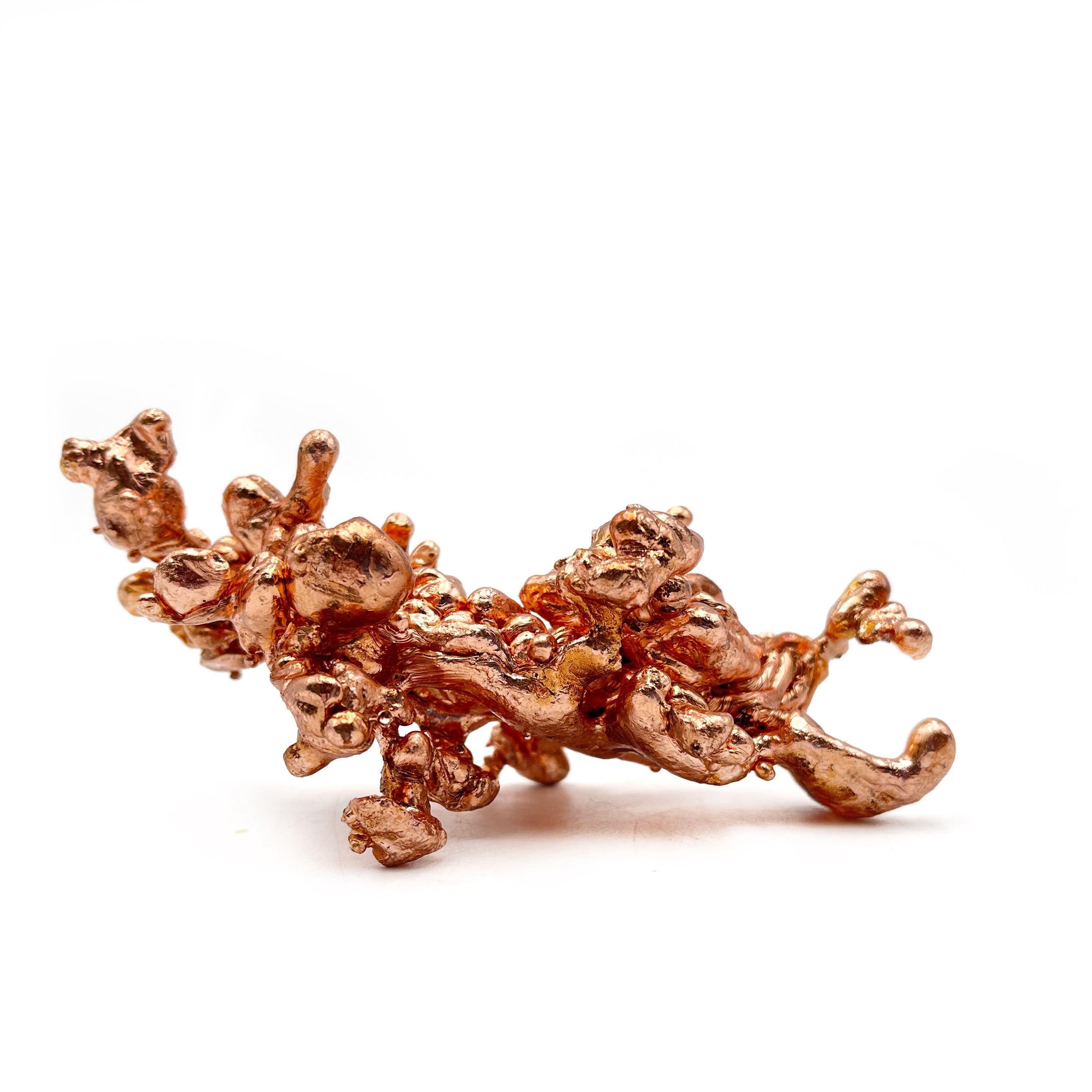 Sculptured Copper – Houston Museum of Natural Science