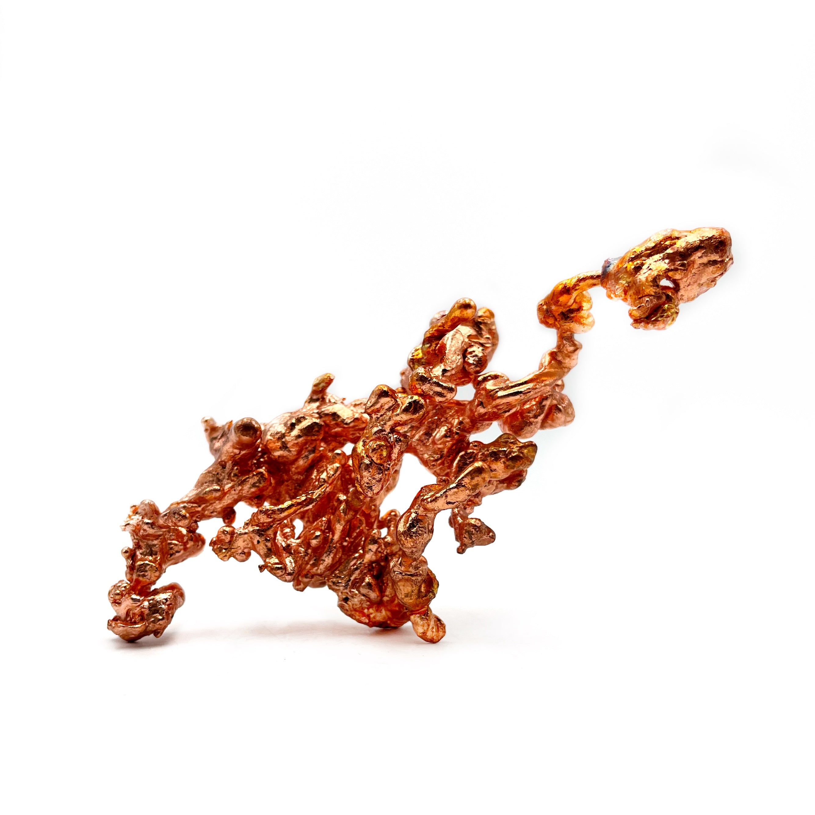 Sculptured Copper – Houston Museum of Natural Science
