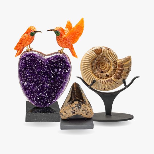 HMNS Museum Store – Houston Museum of Natural Science