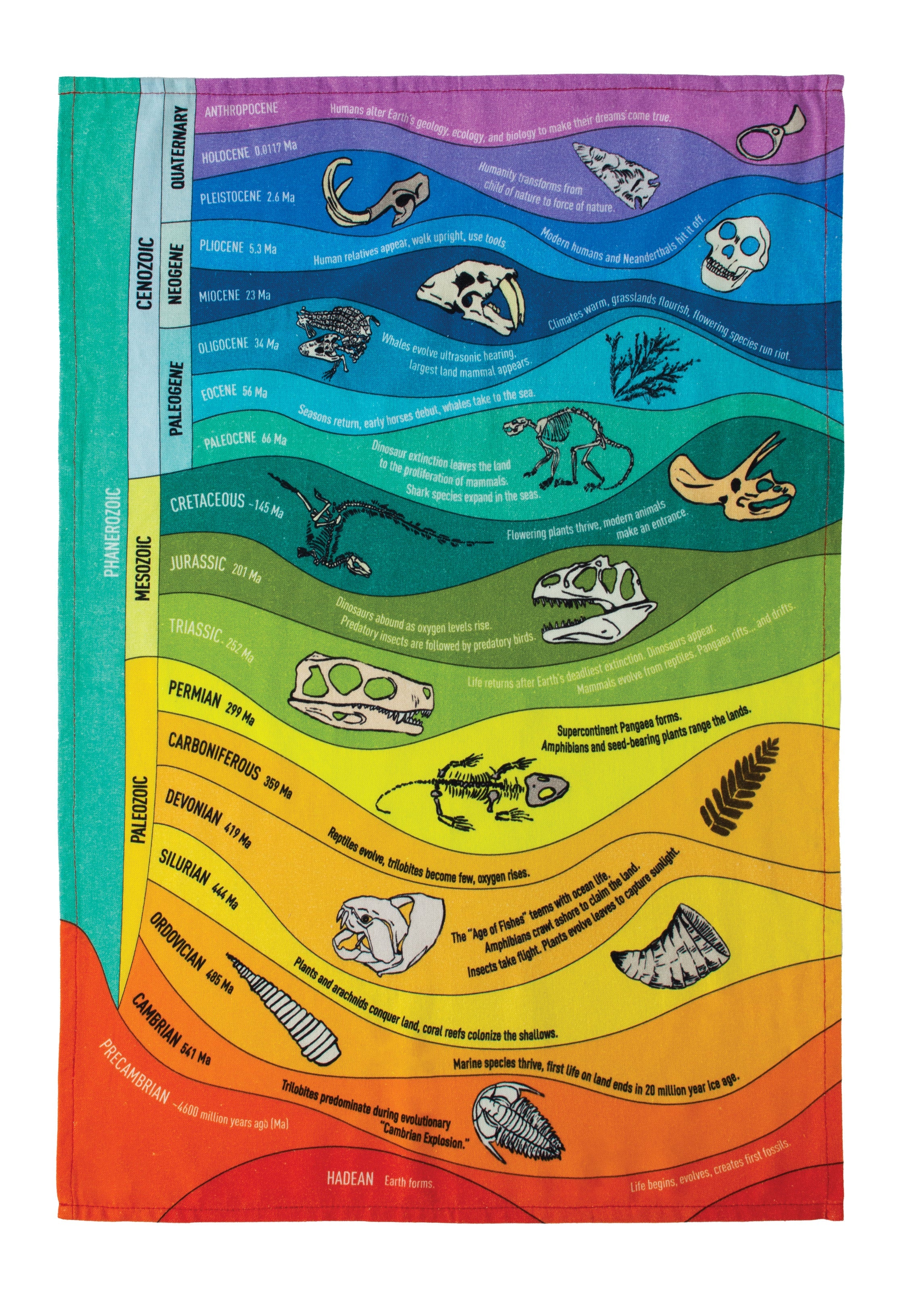Geologic Time Dish Towel – Houston Museum of Natural Science