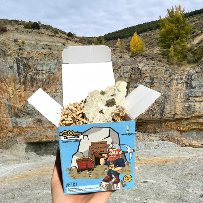 *FINAL SALE* Pyrite Mining Kits – Houston Museum of Natural Science