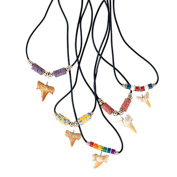 Gateway to the Stars Observatory Dark Matter Journal – Houston Museum ...