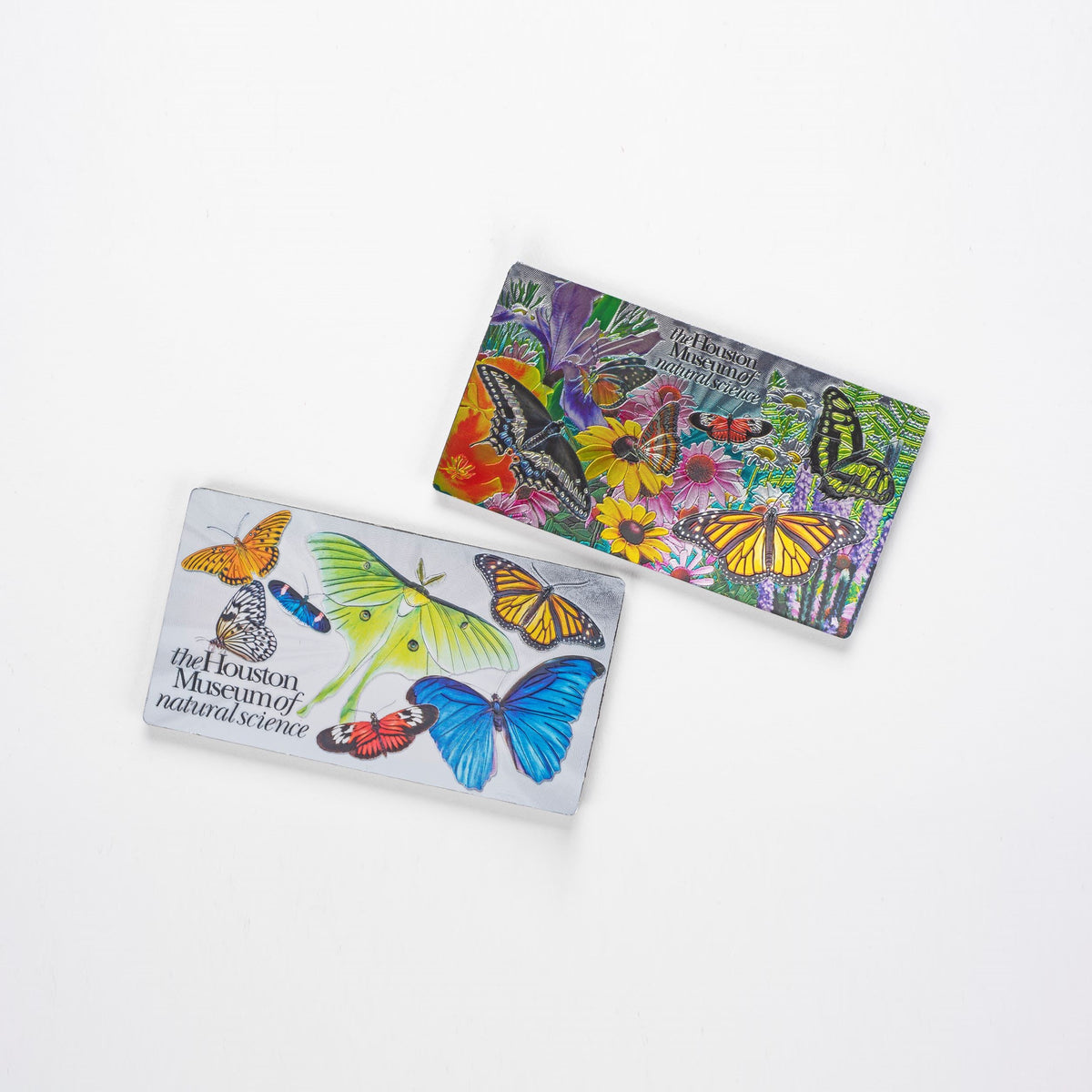 Hall of the Americas – Houston Museum of Natural Science